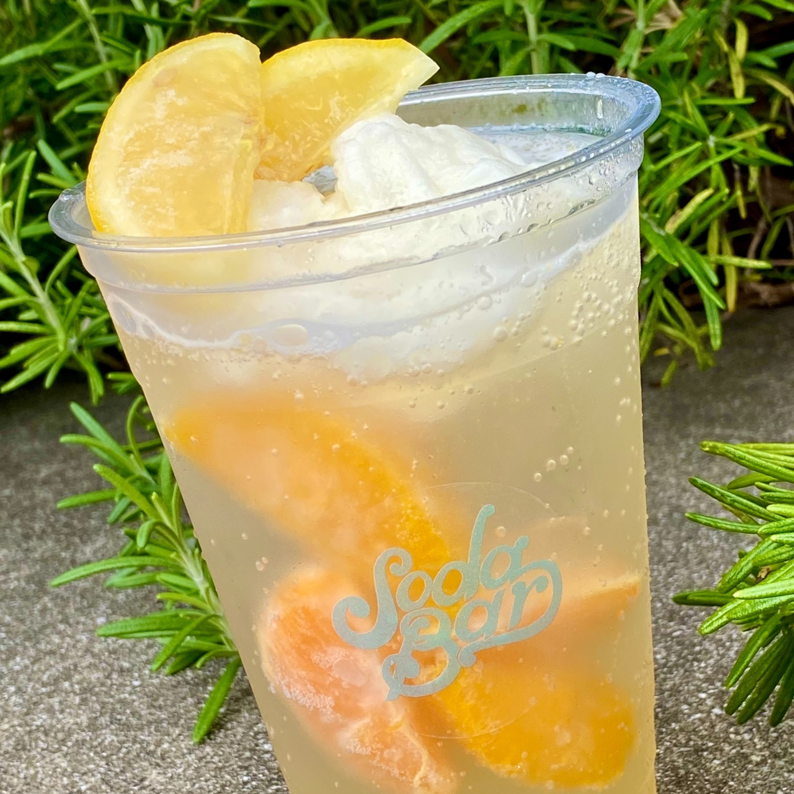 NEWS | SODA BAR | ソーダバー